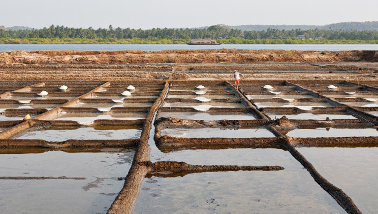 Salt of the Earth - Photo Blog by Rajan Parrikar