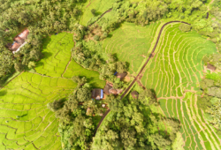 Terraced Farms - Photo Blog by Rajan Parrikar