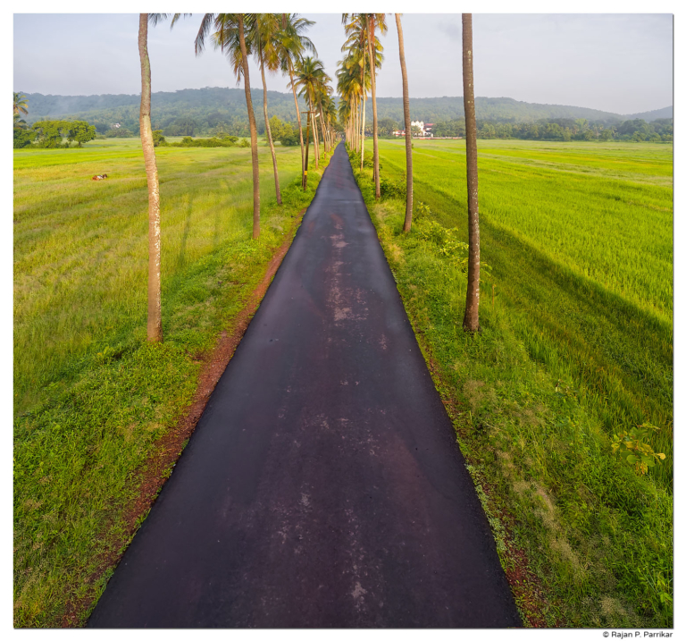 Parra The Beautiful - Photo Blog by Rajan Parrikar