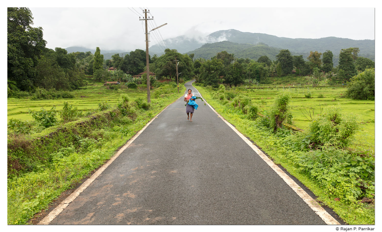 Monsoon Medley - Photo Blog by Rajan Parrikar